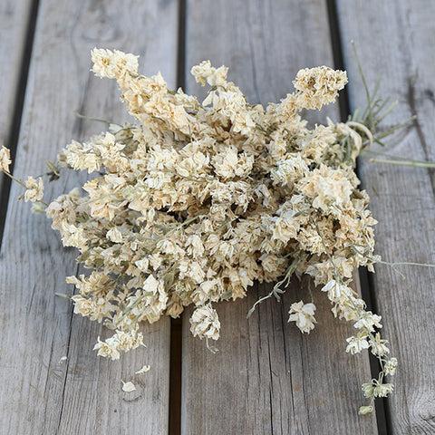 Dried Flower Bunches – Shropshire Petals