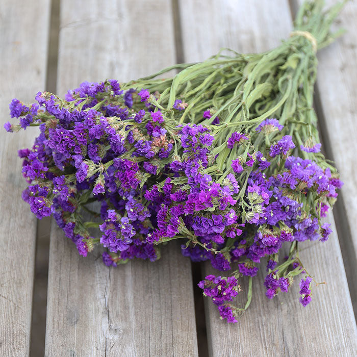 Purple Statice Bunch – Shropshire Petals
