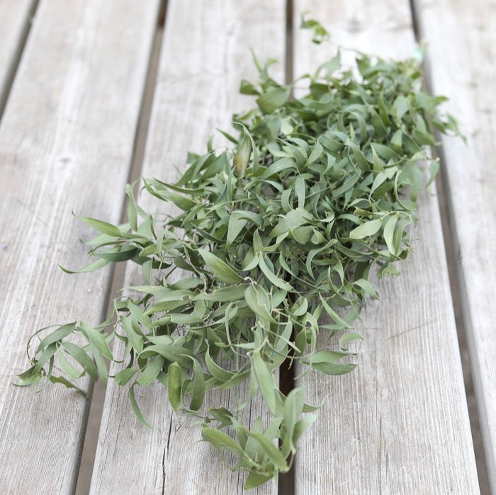 Natural Ruscus Bunch – Shropshire Petals