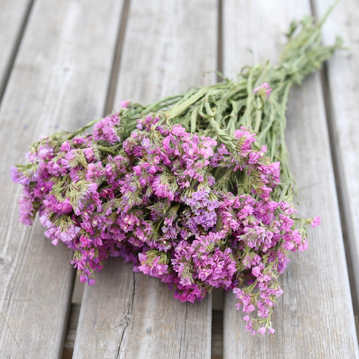 Lilac Statice Bunch – Shropshire Petals