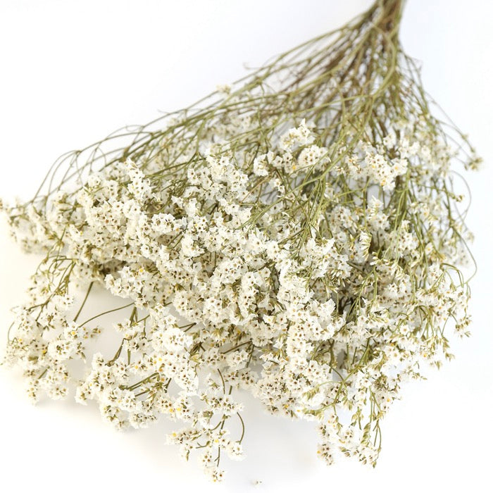 White Limonium Bunch – Shropshire Petals