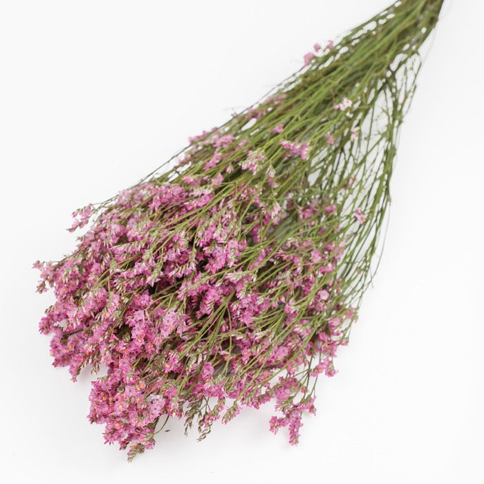 Pink Limonium Bunch – Shropshire Petals