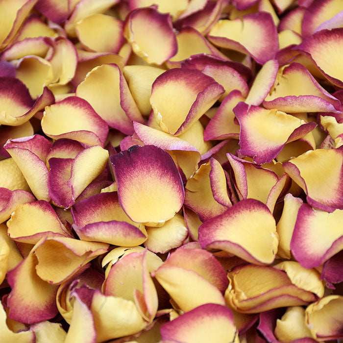Sunset Rose Petals – Shropshire Petals