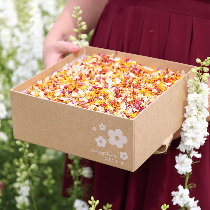 Kraft Confetti Box 5 Litres (50-60 handfuls) – Shropshire Petals